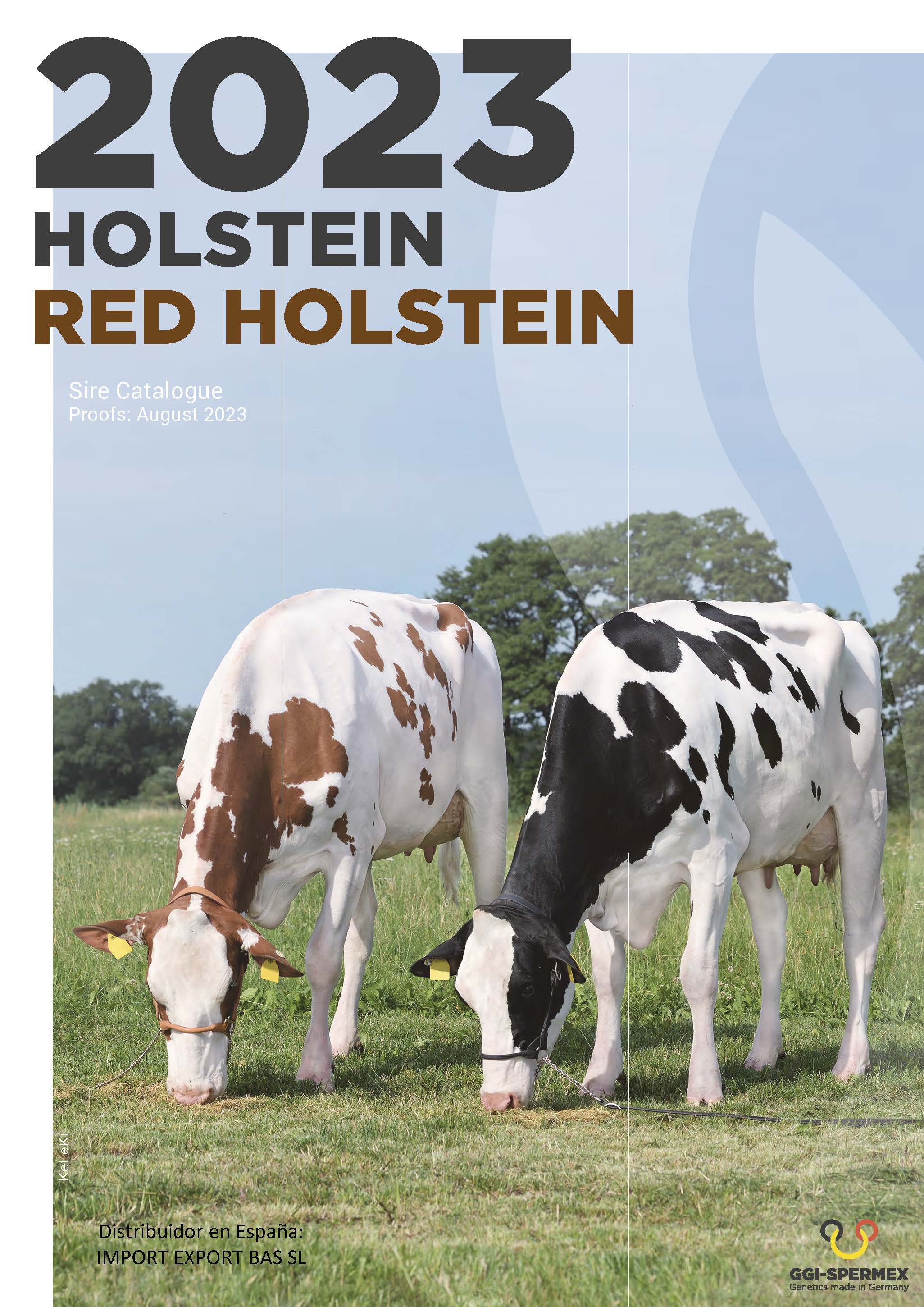 BAS, SL | Holstein Negro | Holstein Rojo · Página de Descargas BAS·GGI